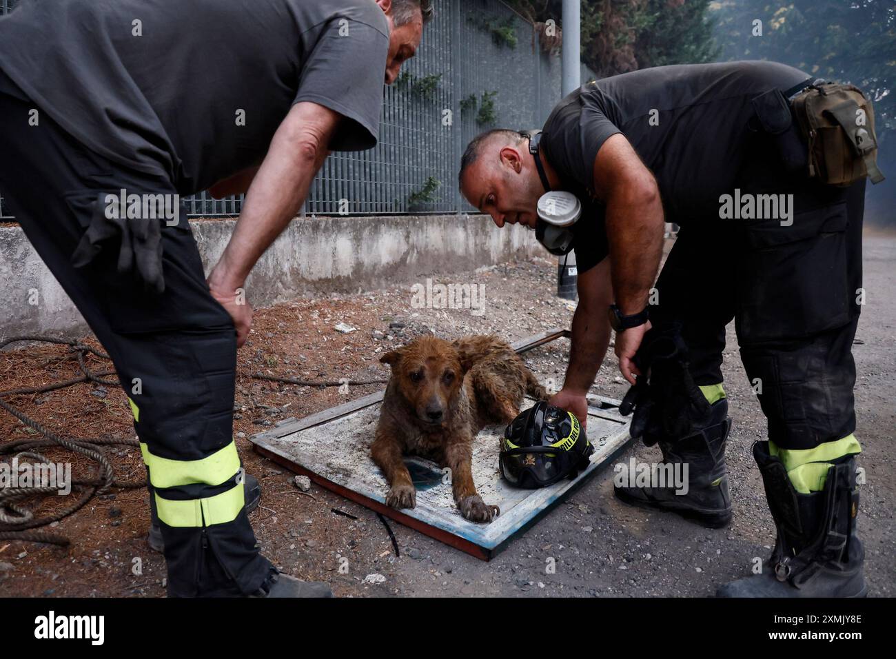 Roma, Italia. 28th July, 2024. Vasto incendio a Ponte Mammolo salvati ...