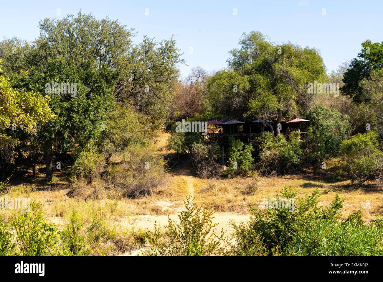 Photograph of Umlani Bush Camp; Timbavati Nature Reserve, Limpopo ...