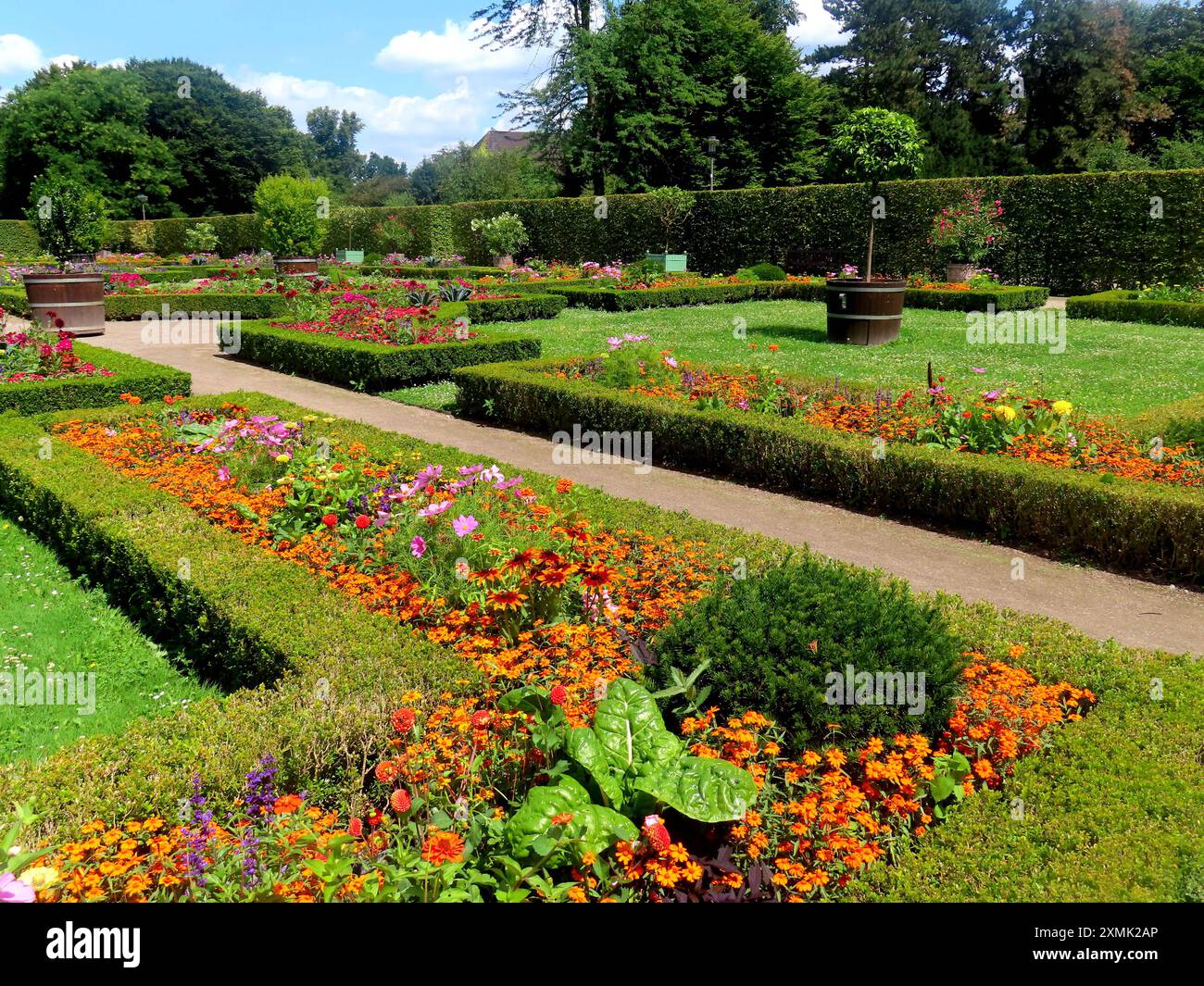 Virtuositaet hi-res stock photography and images - Alamy