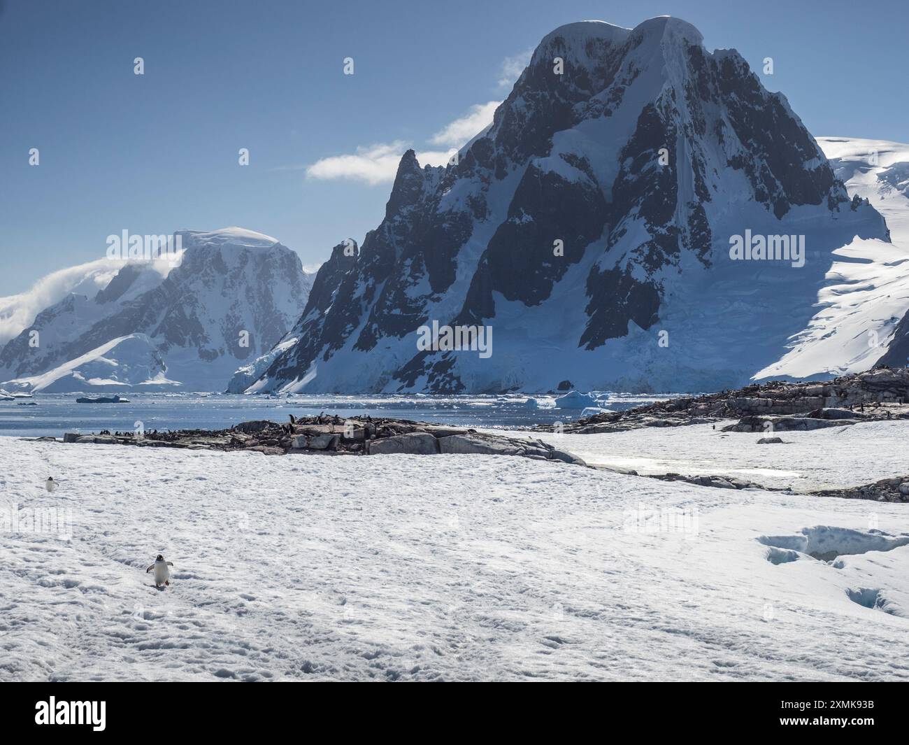 Mt Scott (880m), Graham Land, across the Penola Strait from a Southern ...