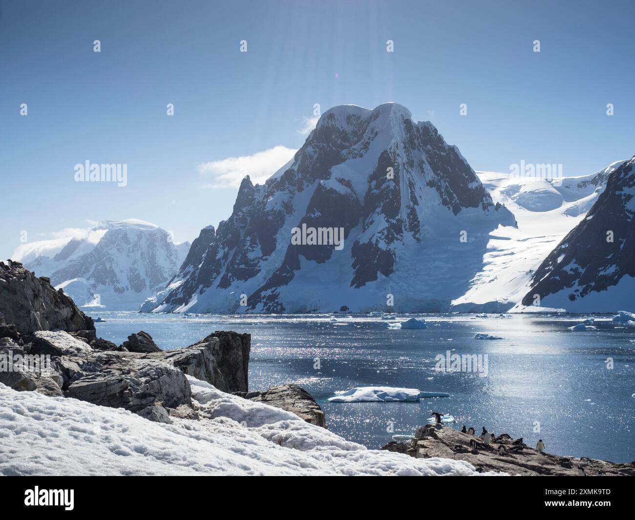 Penguin rookery on Petermann Island, Wilhelm Archipelago, across the Penola Strait from Mt Scott ...