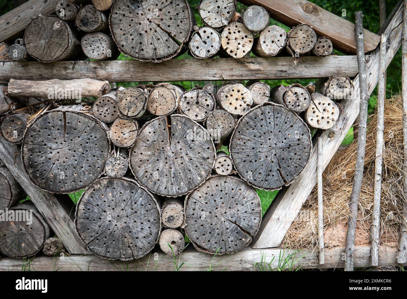Human created insect house in wooden wheels, natural life and wildness ...