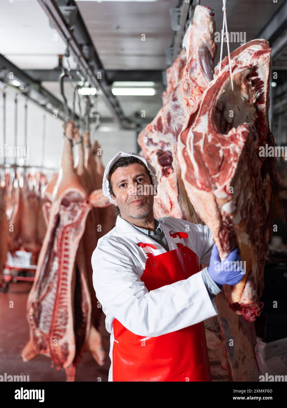 Male slaughterhouse worker showing beef chunk in meat storage Stock ...