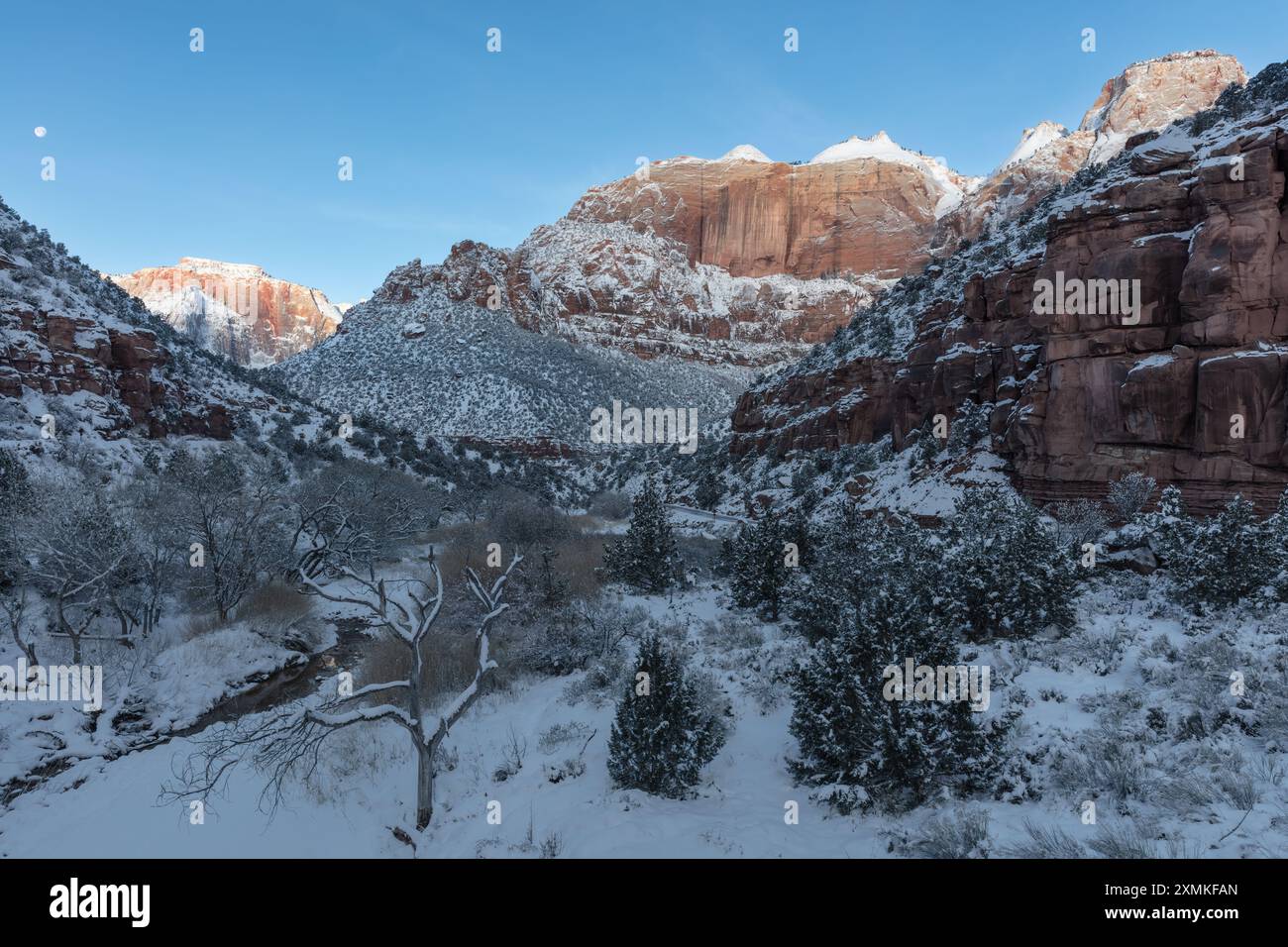 Snow covered canyon after a winter storm, Zion National Park, Utah ...