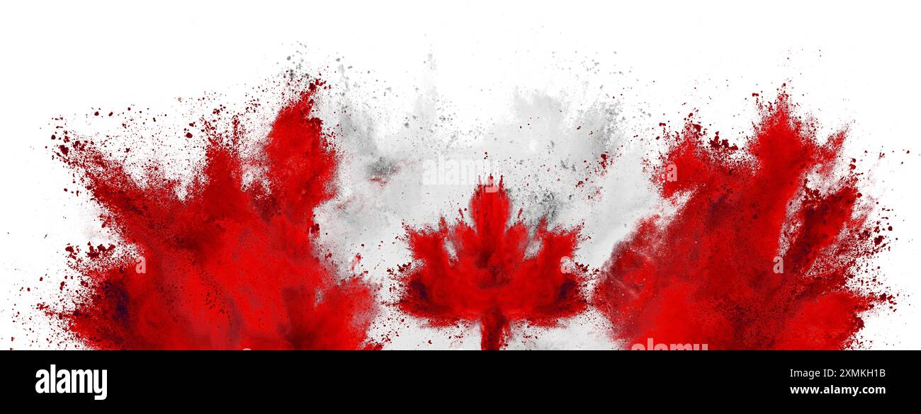 colorful canadian flag with red maple leaf color holi paint powder ...