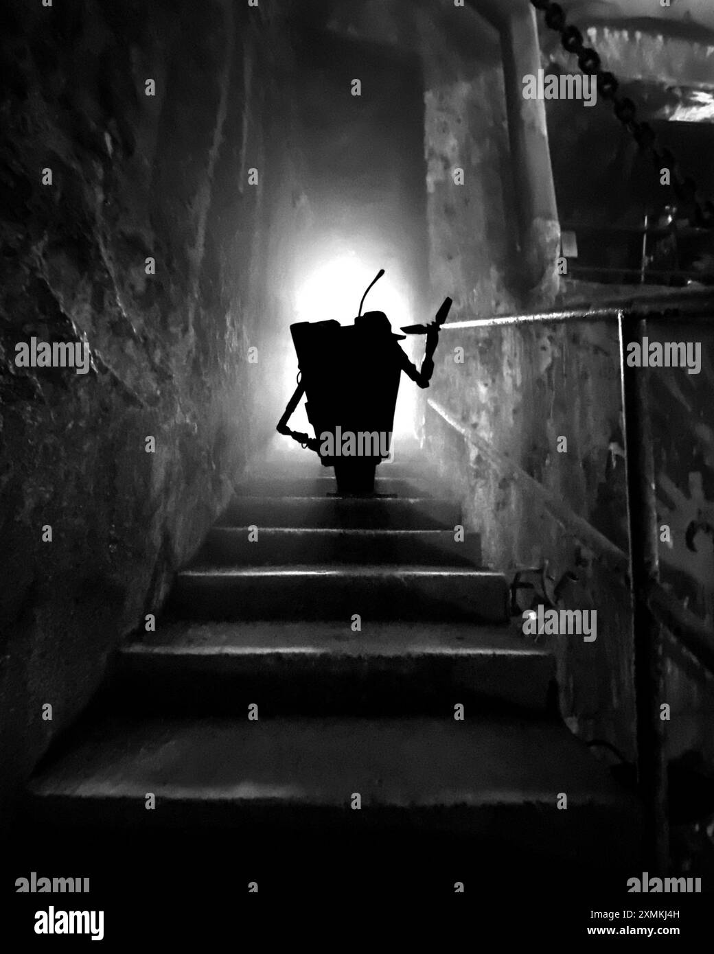 BORDERLANDS, Claptrap (voice: Jack Black), 2024. ph: Jamie Lee Curtis ...