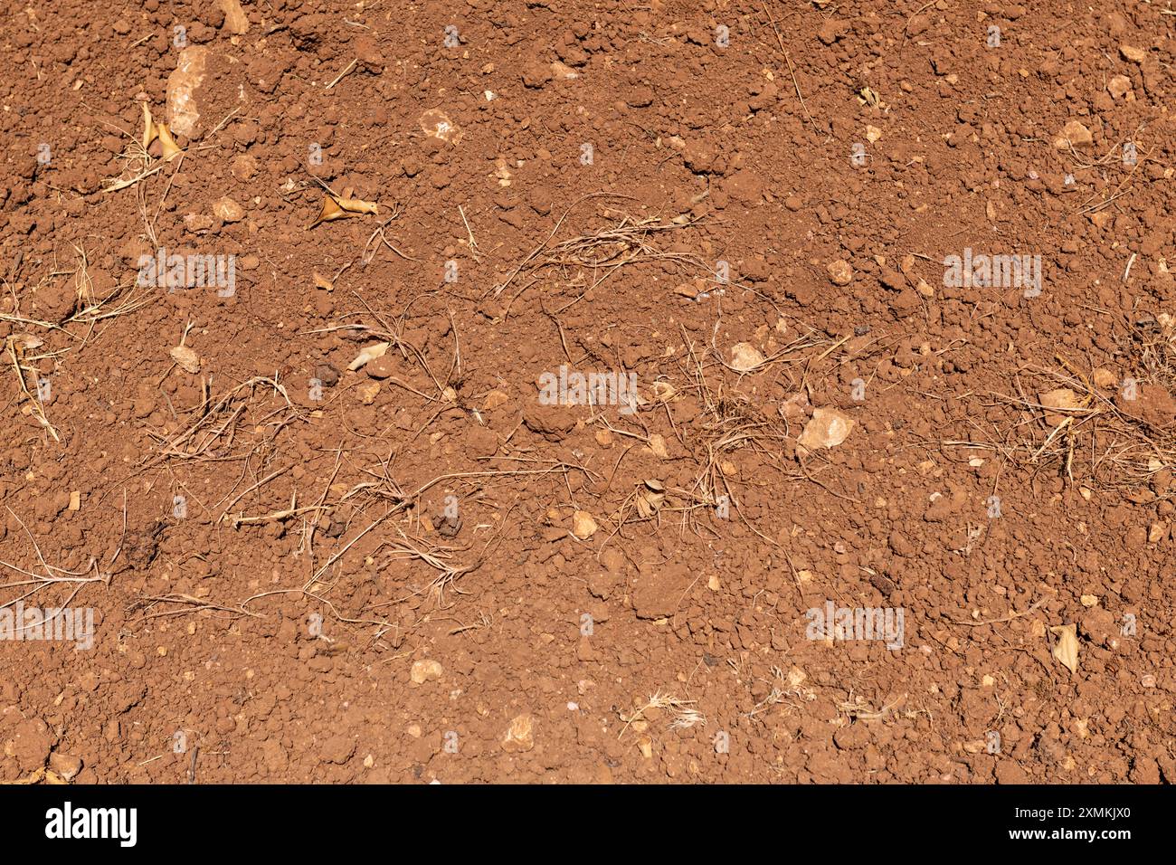 Natural brown soil ground background with some plant elements Stock ...