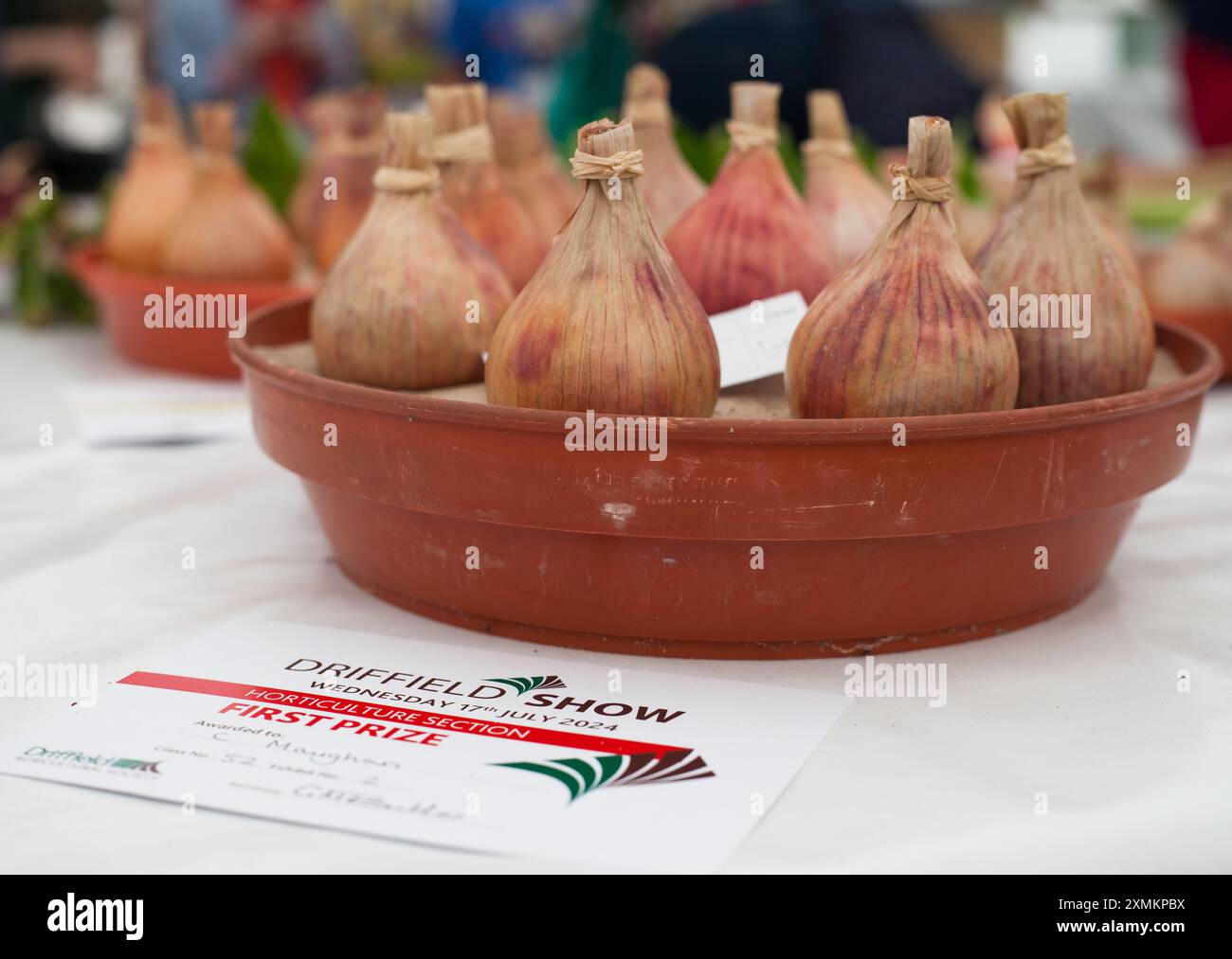 Onions in fruit and vegetable classes prize winners at Driffield ...