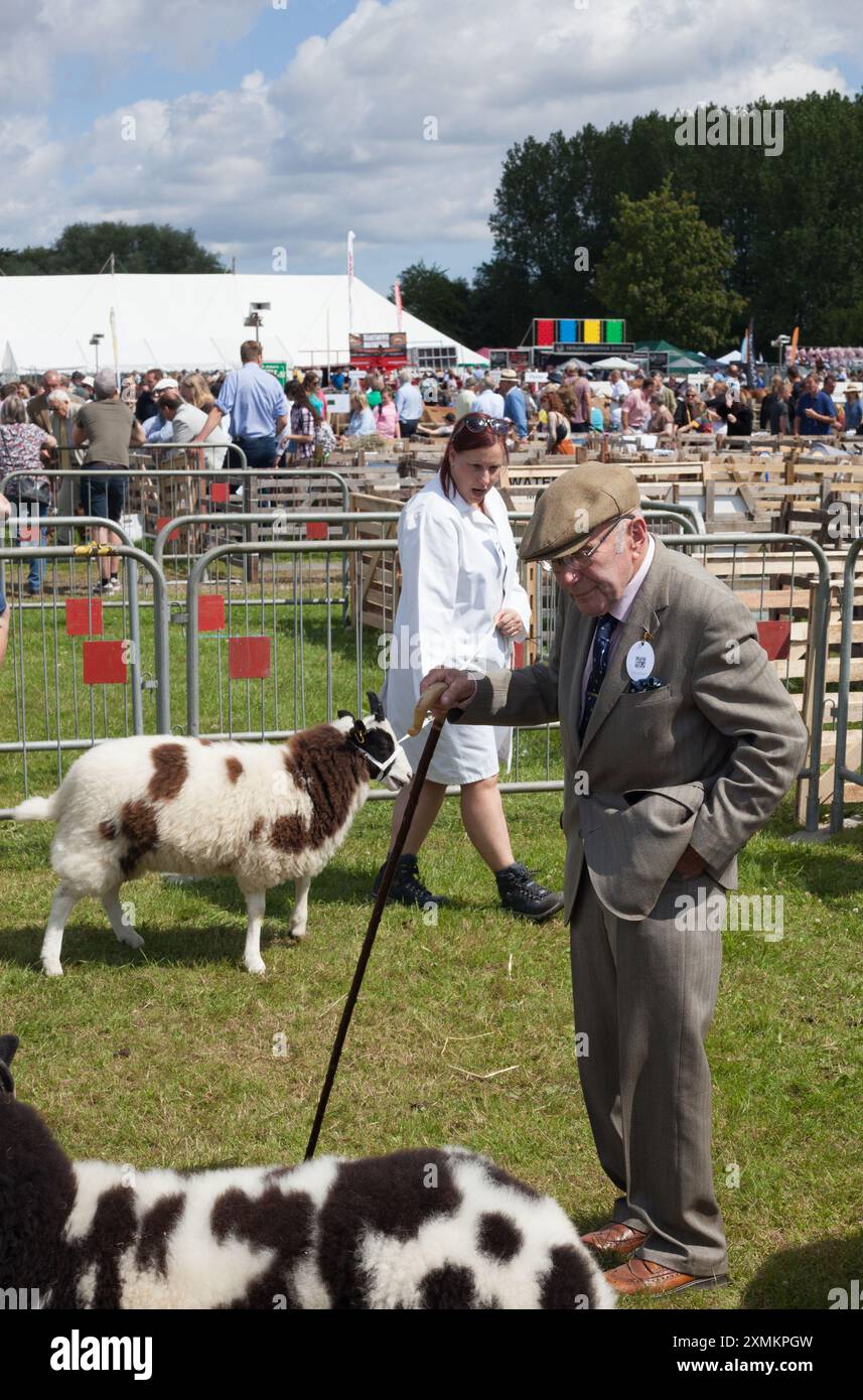 Agricultural show judge at sheep judging competition Driffield ...