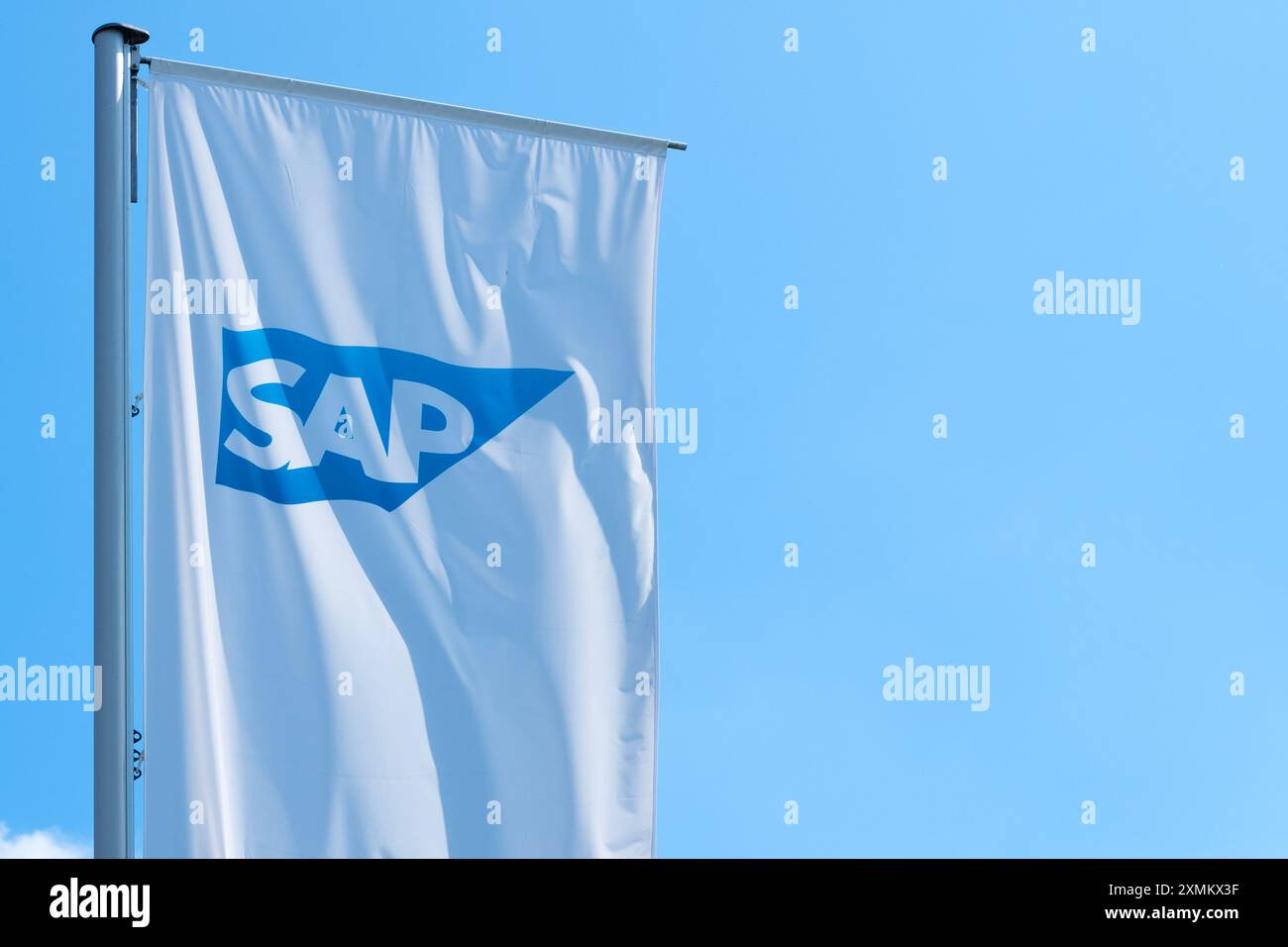flag software and technology SAP SE company, German International ...