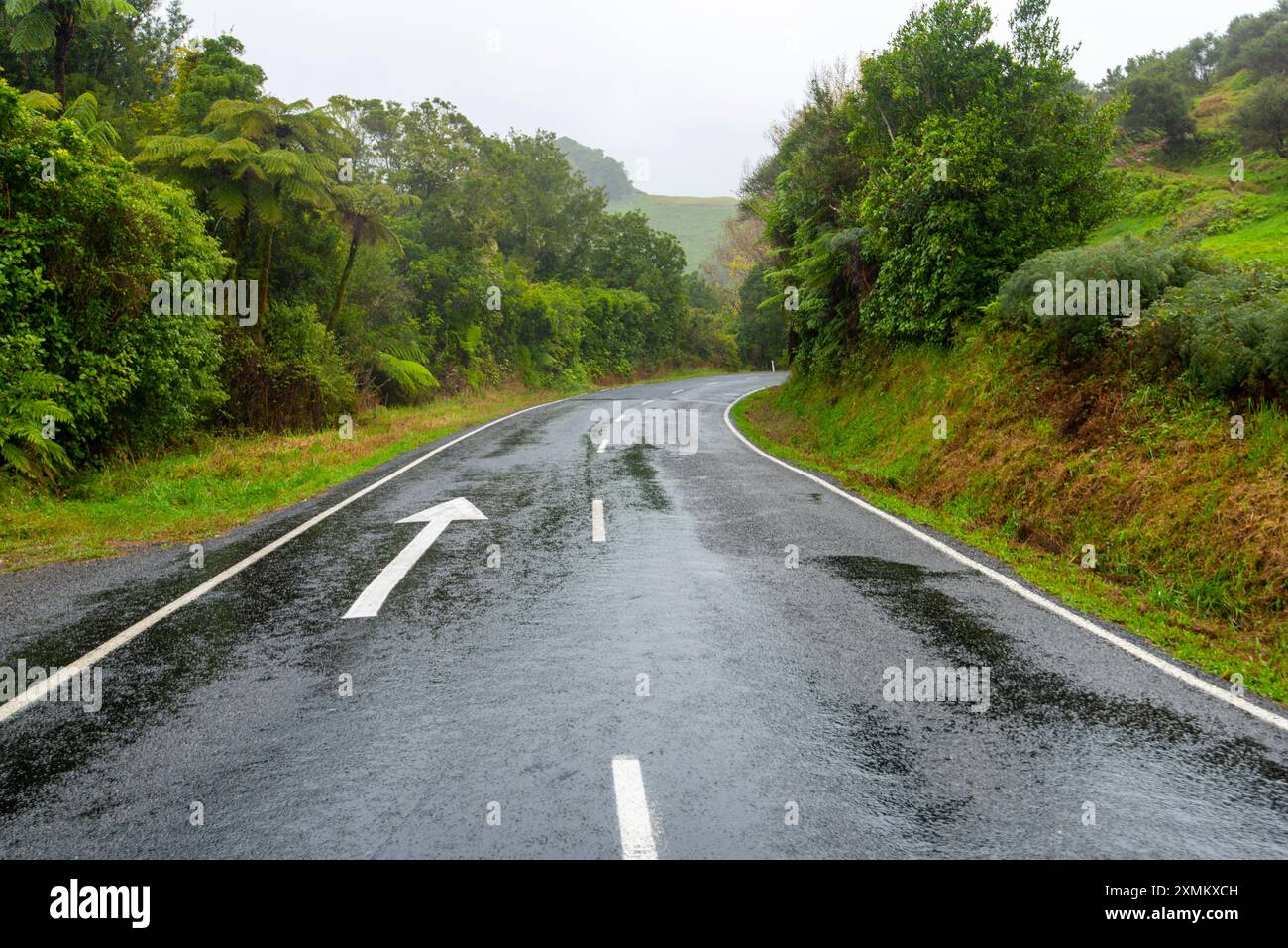 Te Anga Road in Waikato Region - New Zealand Stock Photo - Alamy