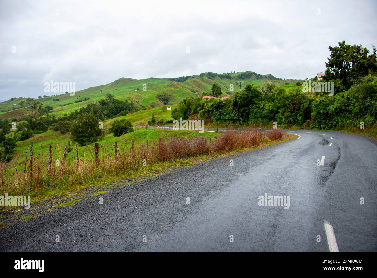 New zealand countryside hi-res stock photography and images - Alamy