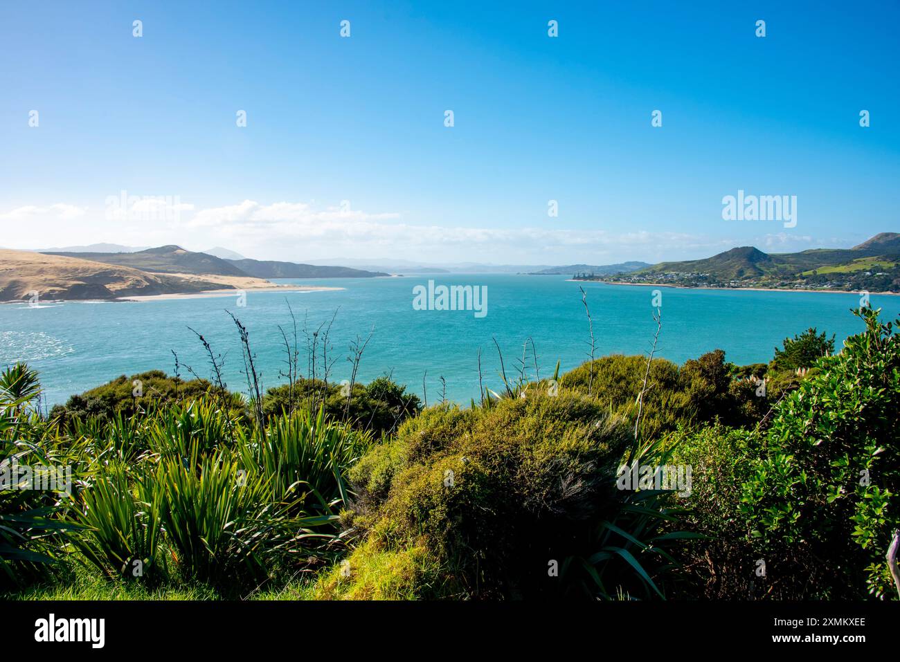 Hokianga, new zealand hi-res stock photography and images - Alamy