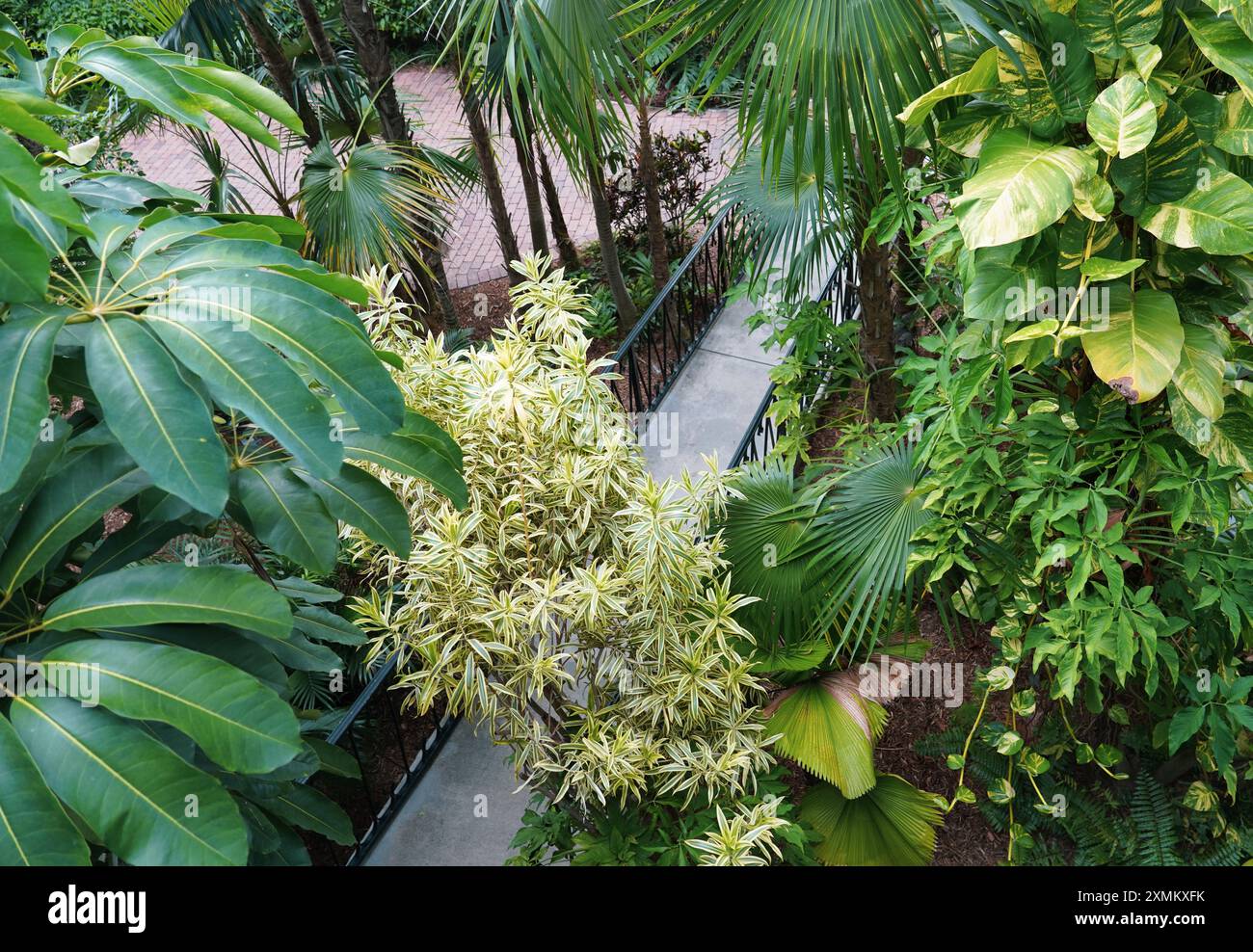 Plants rich textures hi-res stock photography and images - Alamy