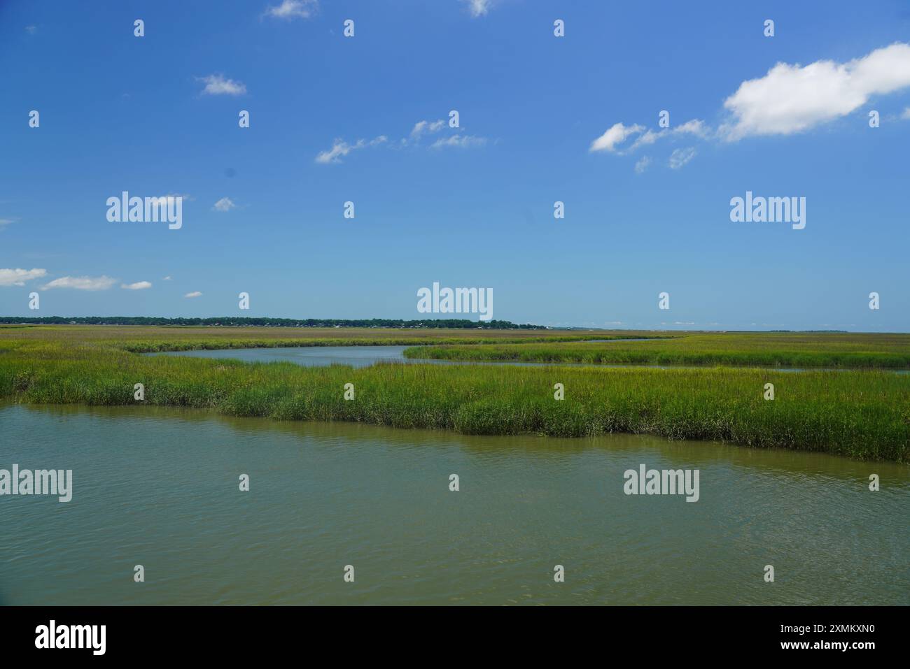 This captivating photograph captures the tranquil beauty of coastal ...