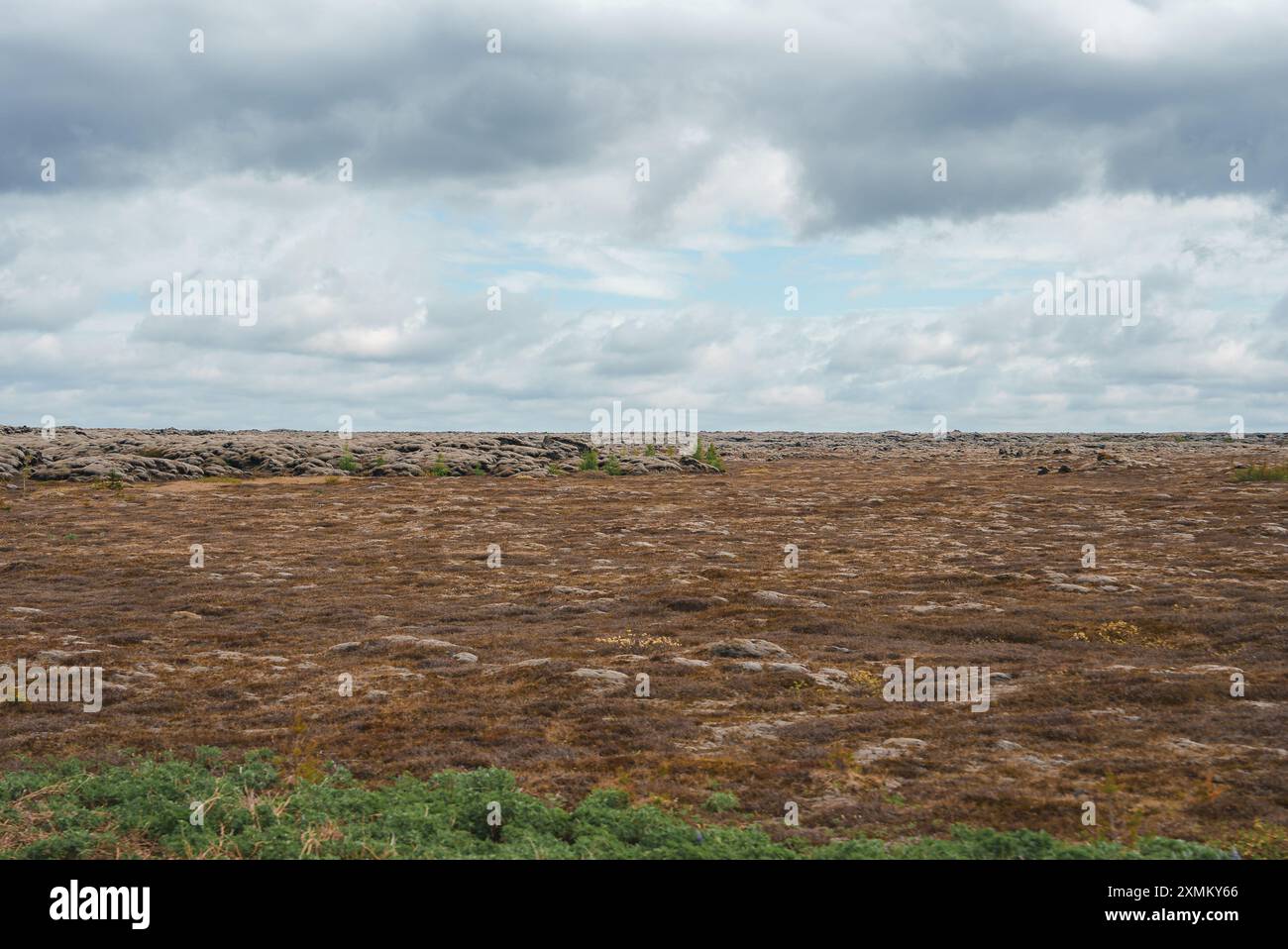 Vast Barren Landscape with Rocky Terrain and Cloudy Sky in Iceland ...