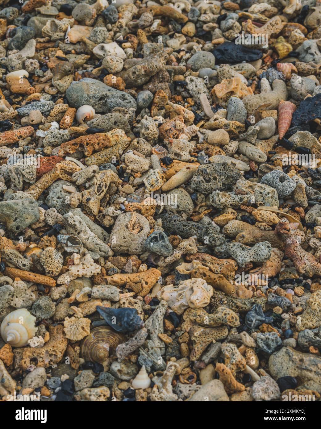A close-up photo of a pile of smooth, colorful rocks and seashells on a ...