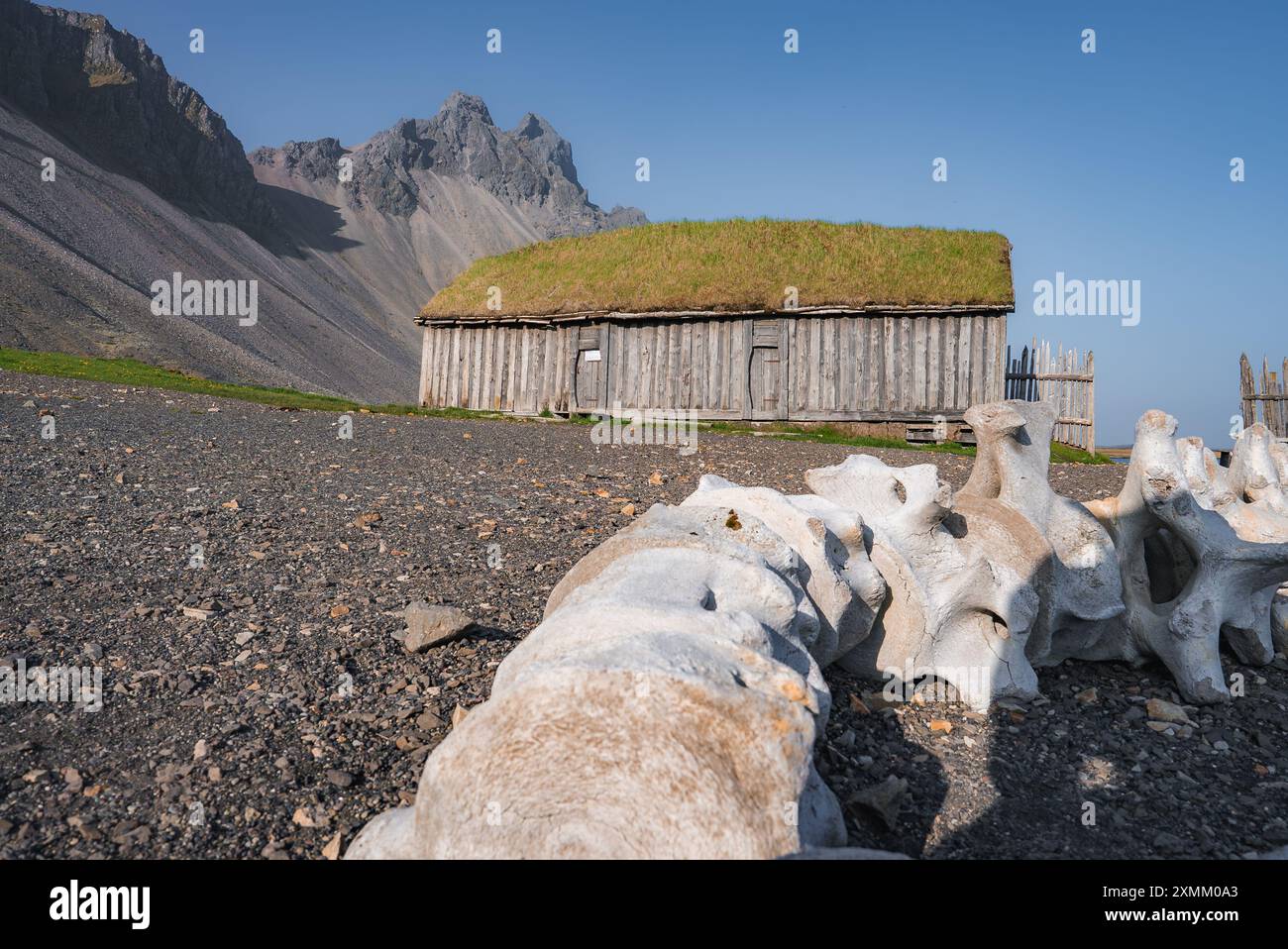Rustic Wooden Structure with Grass Roof and Whale Bones in Icelandic ...