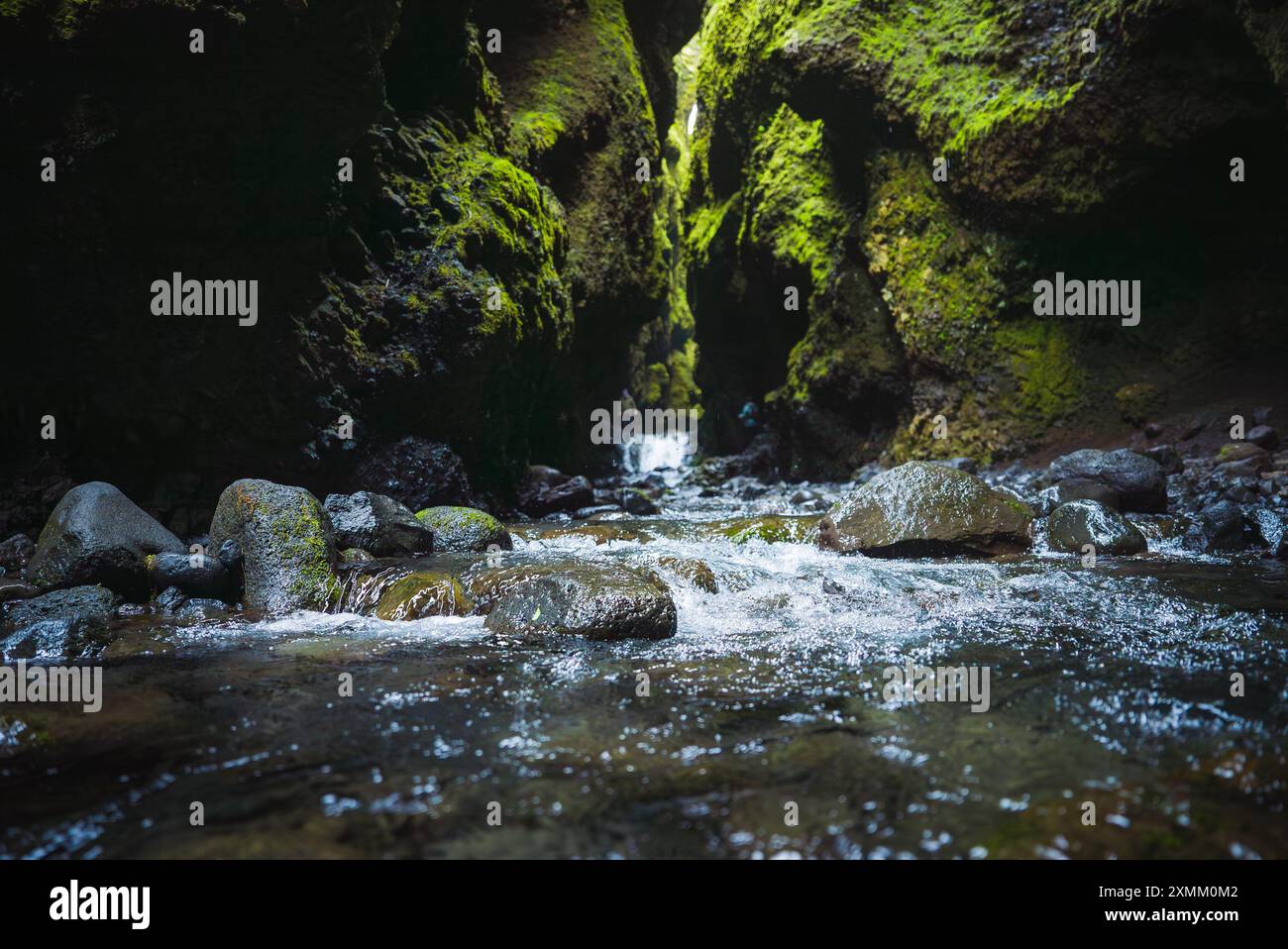 Narrow moss covered canyon hi-res stock photography and images - Alamy