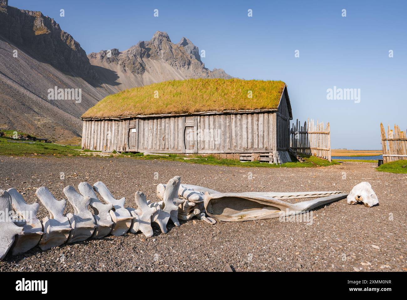 Whale bones house hi-res stock photography and images - Alamy
