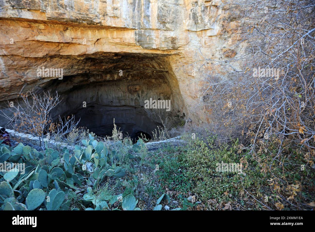 Scenery with Carlsbad Caverns natural entrance - Carlsbad Caverns ...