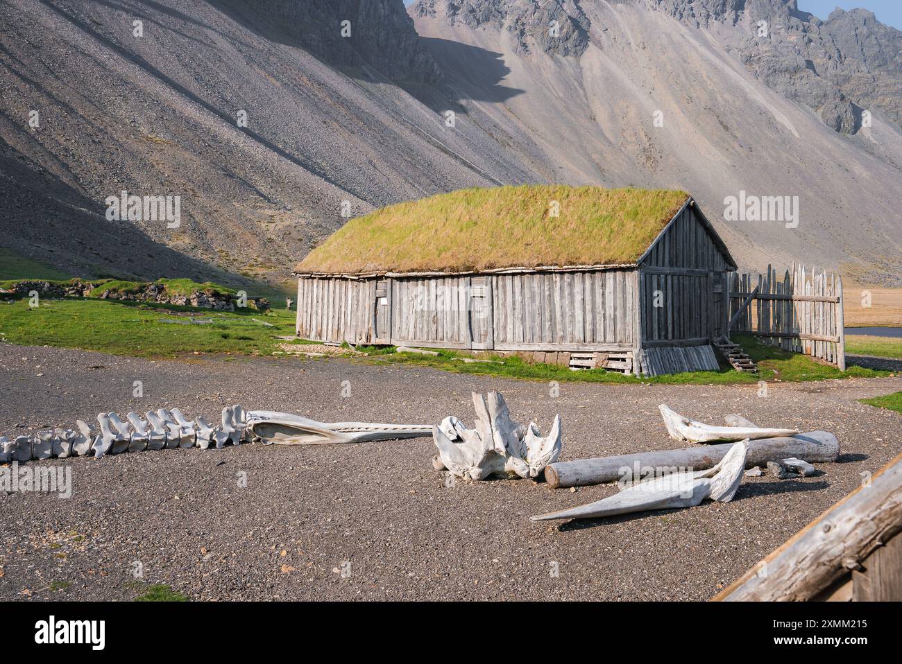 Traditional Icelandic Turf House with Grass Roof and Rugged Mountain ...