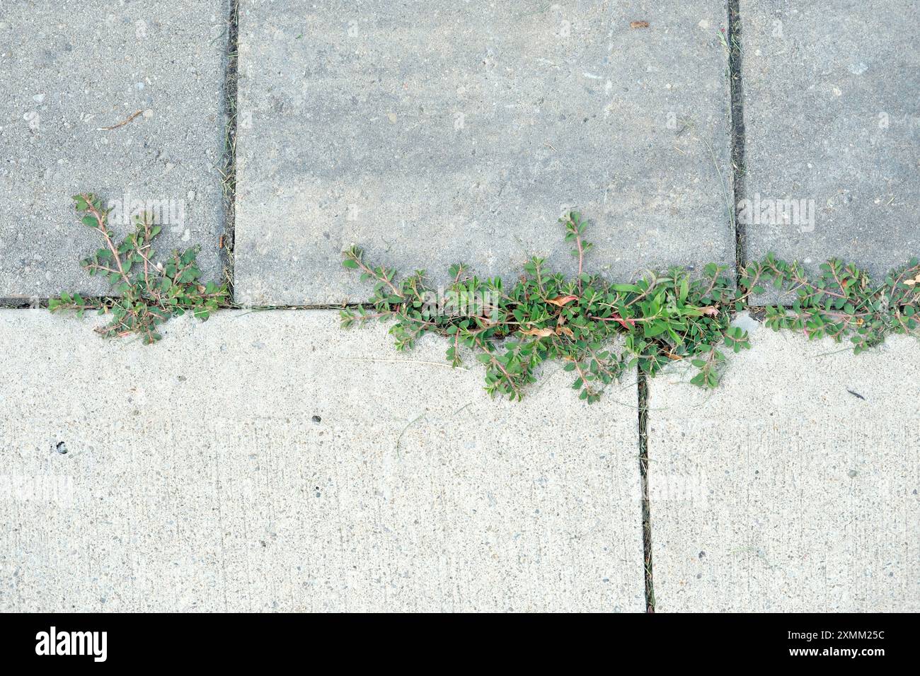Concrete block crack precast hi-res stock photography and images - Alamy