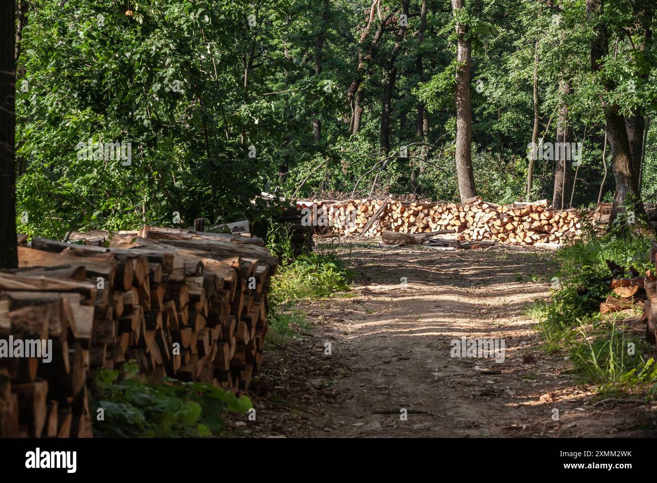 Carpentry practices hi-res stock photography and images - Alamy