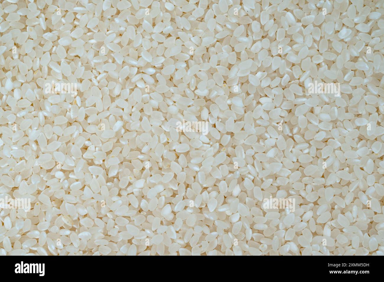 White rice on white background Stock Photo - Alamy