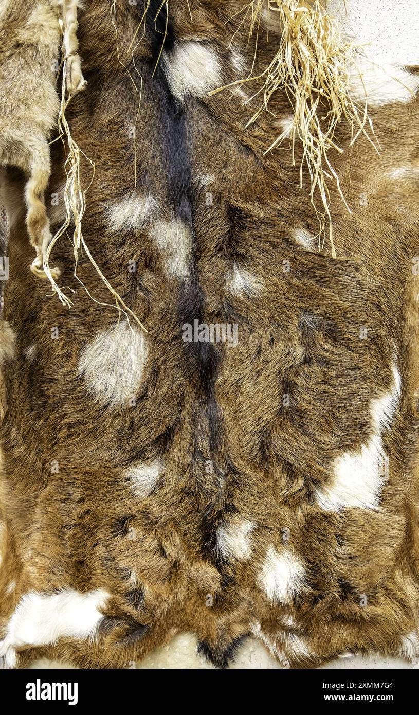 Detail of dead animal skin, decoration and coat Stock Photo - Alamy