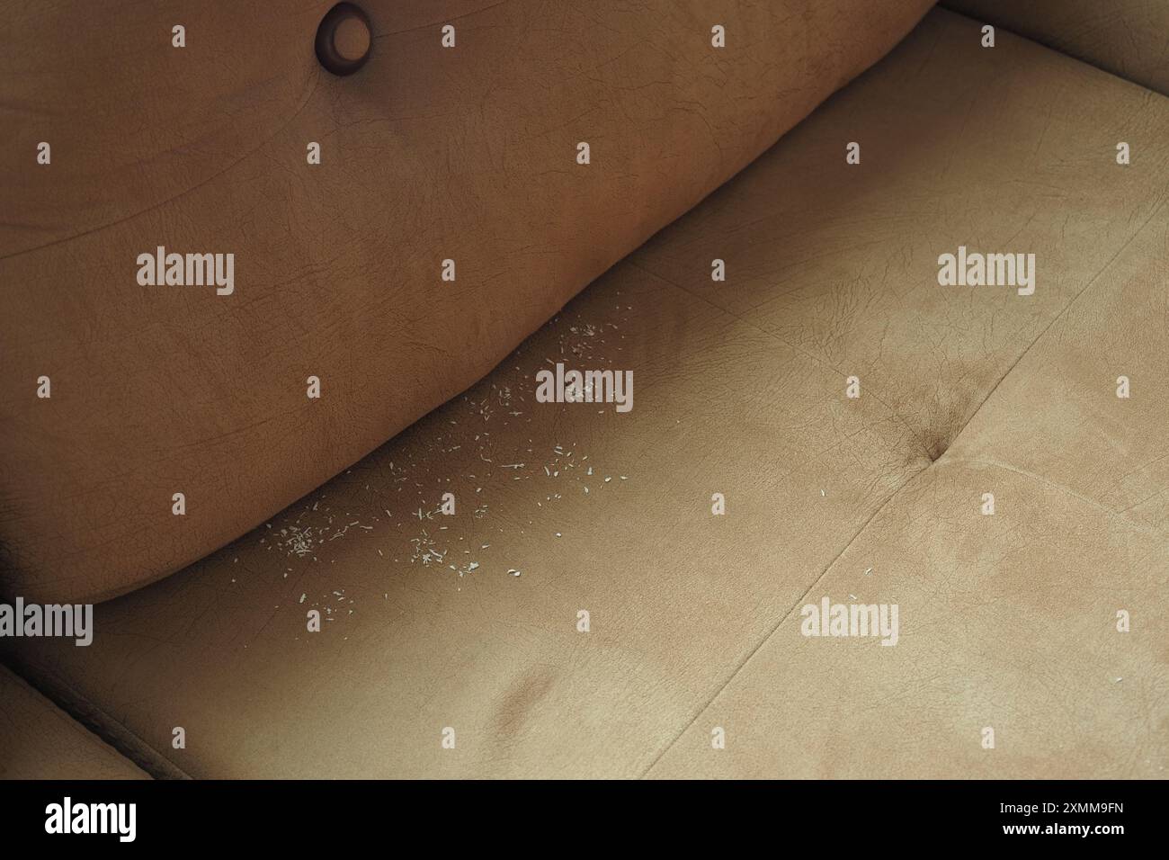 Sofa garbage interior hi-res stock photography and images - Alamy