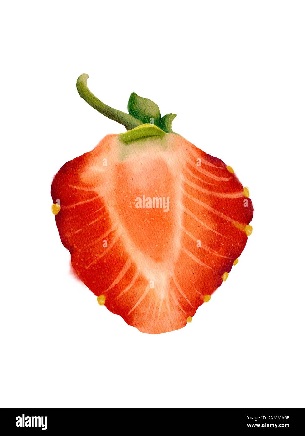 Close-up view of a fresh sliced strawberry. Detailed texture and color ...