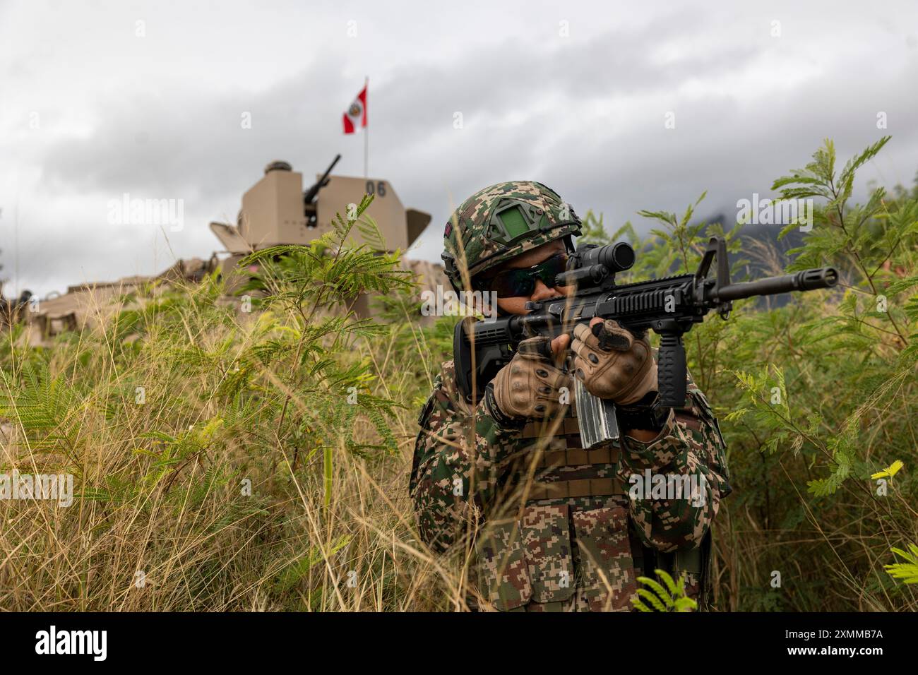 A Malaysian soldier, assigned to 8th Battalion (Parachute), Royal ...