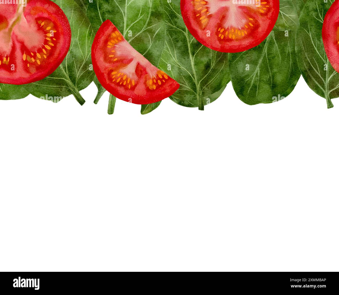 Watercolor illustration of fresh spinach leaves and juicy tomato slices ...