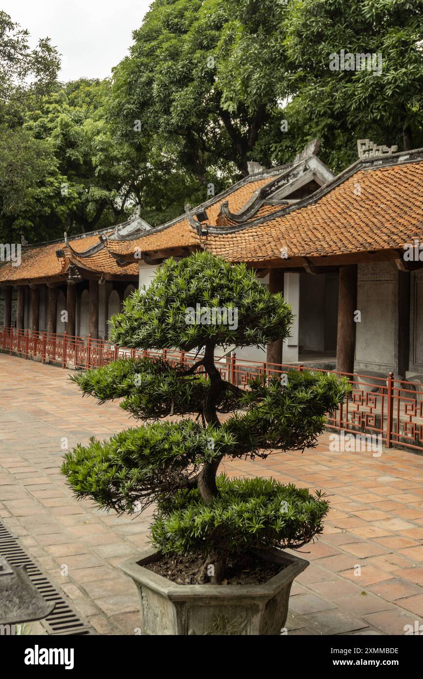 Culture Travel Vietnam Attractions in Hanoi Landscape in the Temple of ...