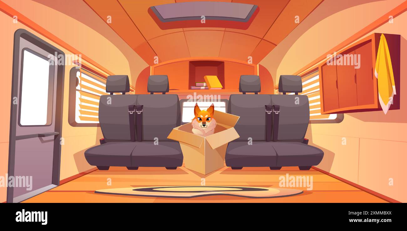 Wild red fox sitting in cardboard box between seats inside of mini bus ...
