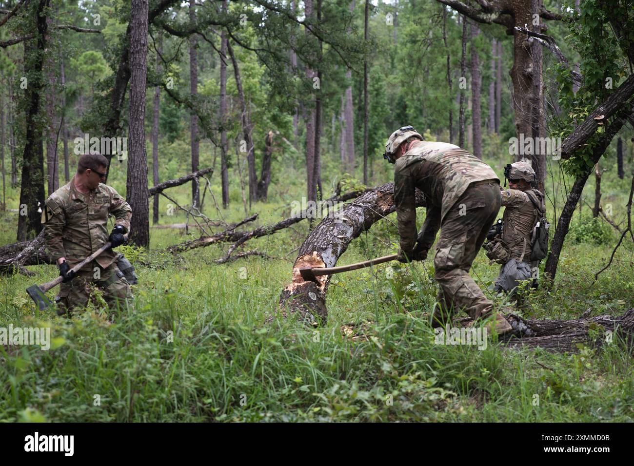 Soldiers from Task Force Guardian (comprised of soldiers from 1st ...