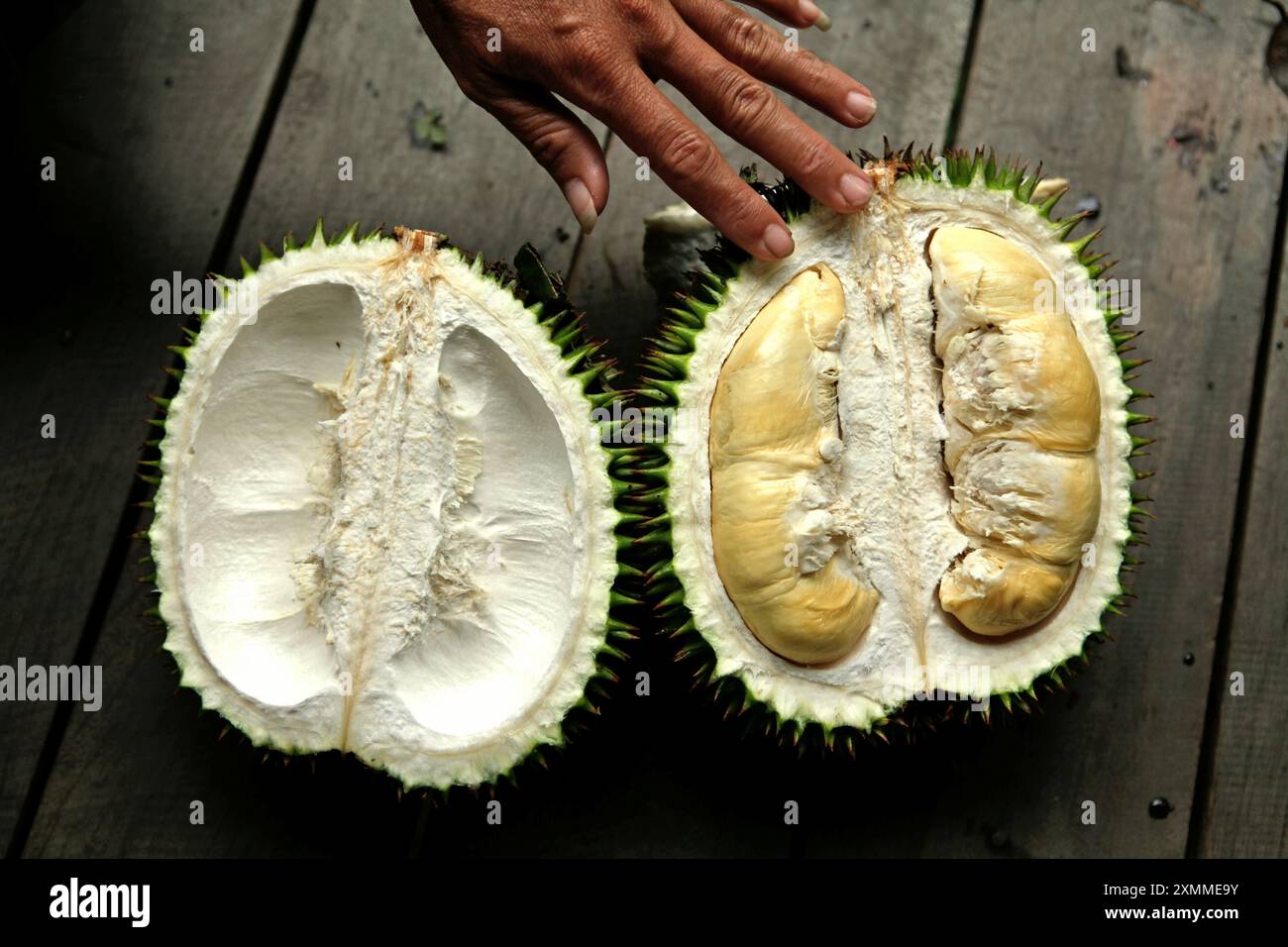 Cracked durian hi-res stock photography and images - Alamy
