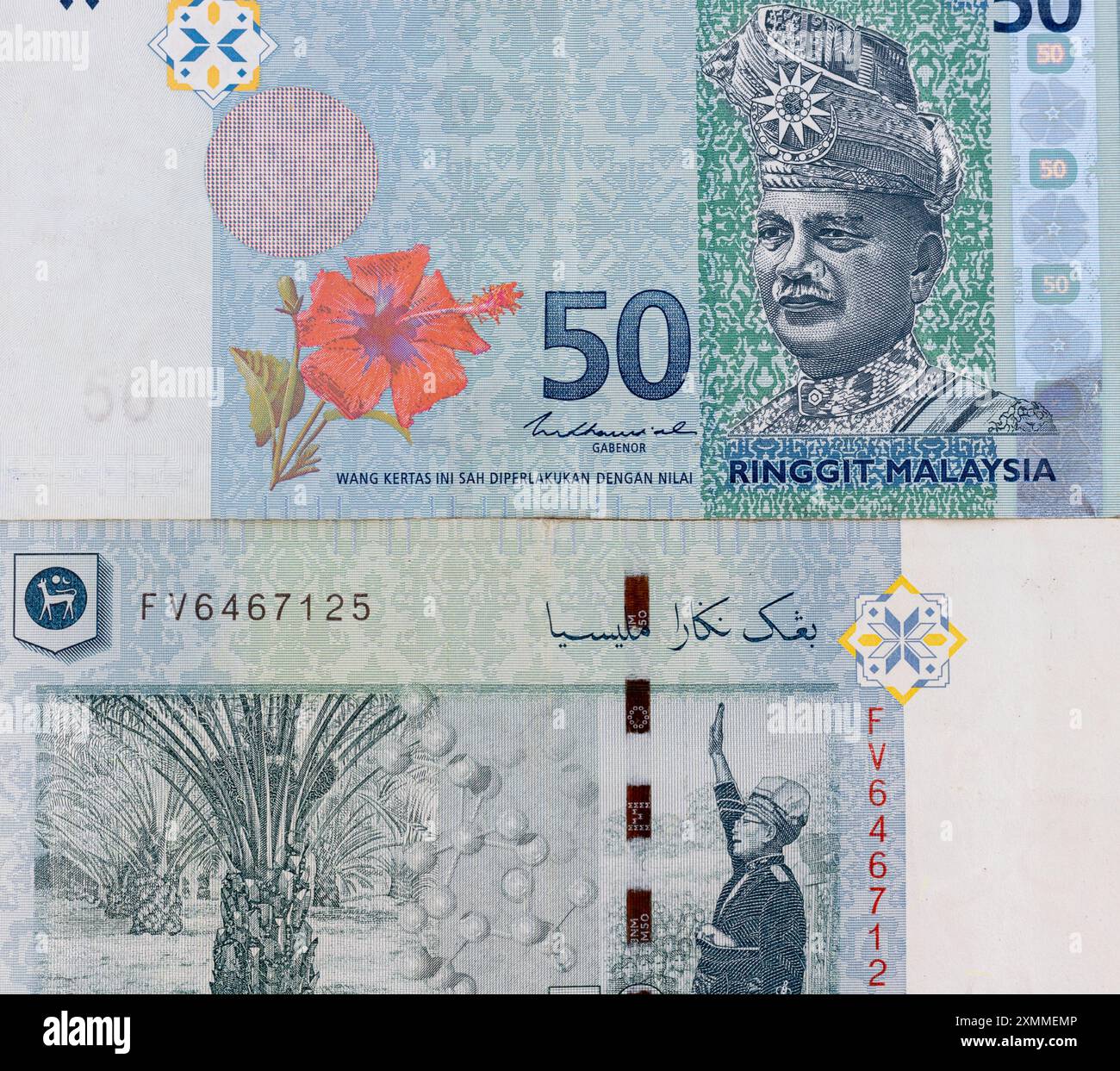 Large fragment of Malaysian fifty ringgit note Stock Photo - Alamy