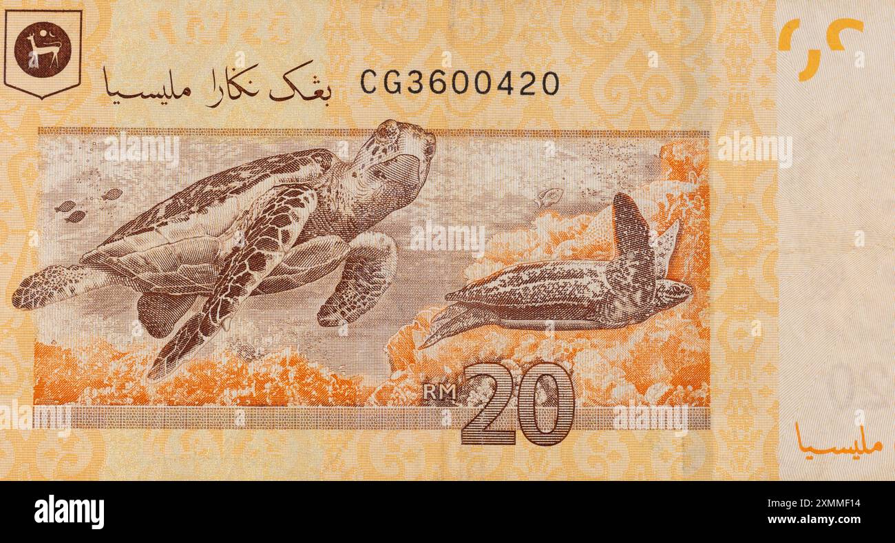 The bright orange coloured banknote of 20 Malaysian Ringgit from the ...