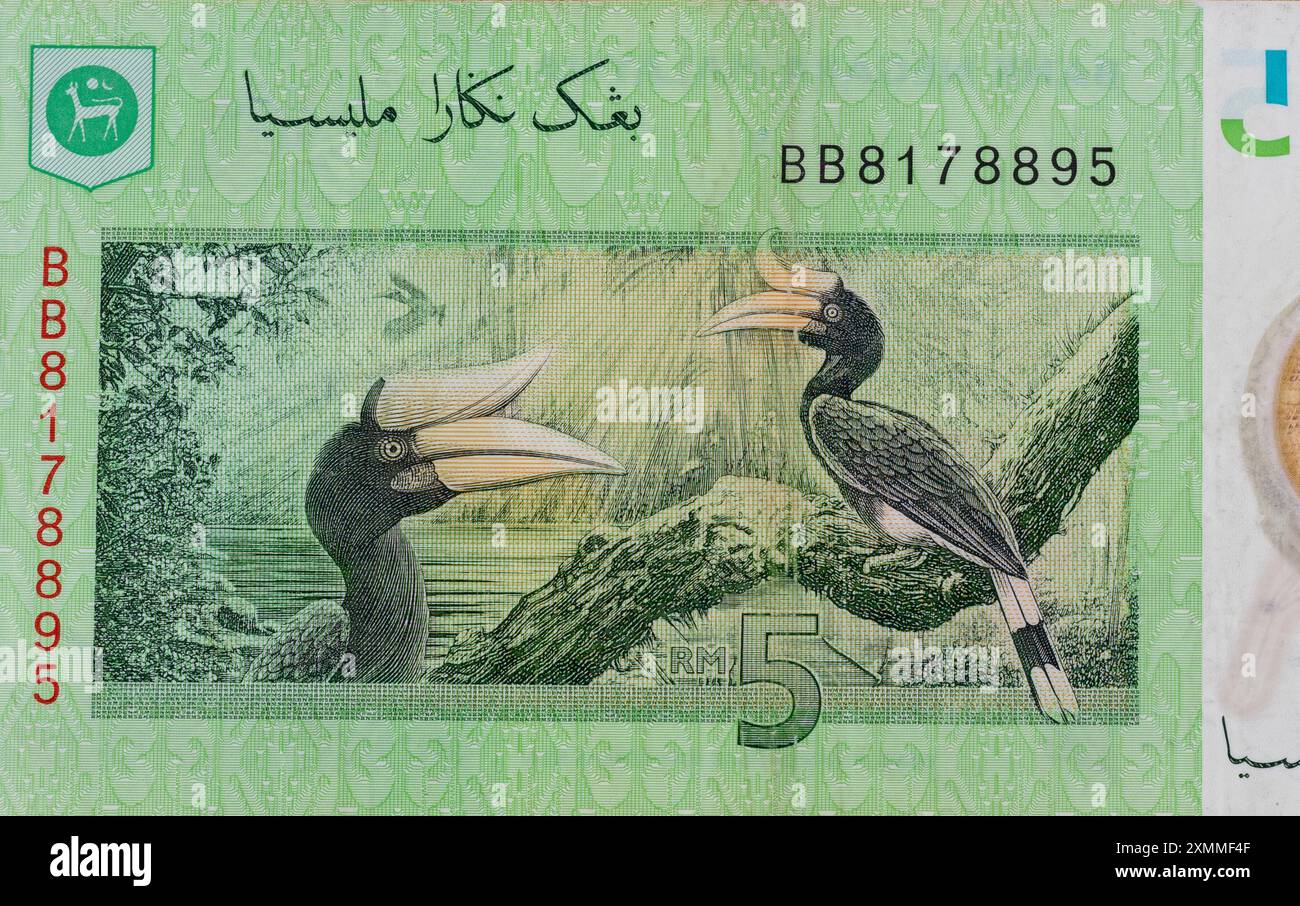 The birds featured on the back side of the five ringgit bill are ...