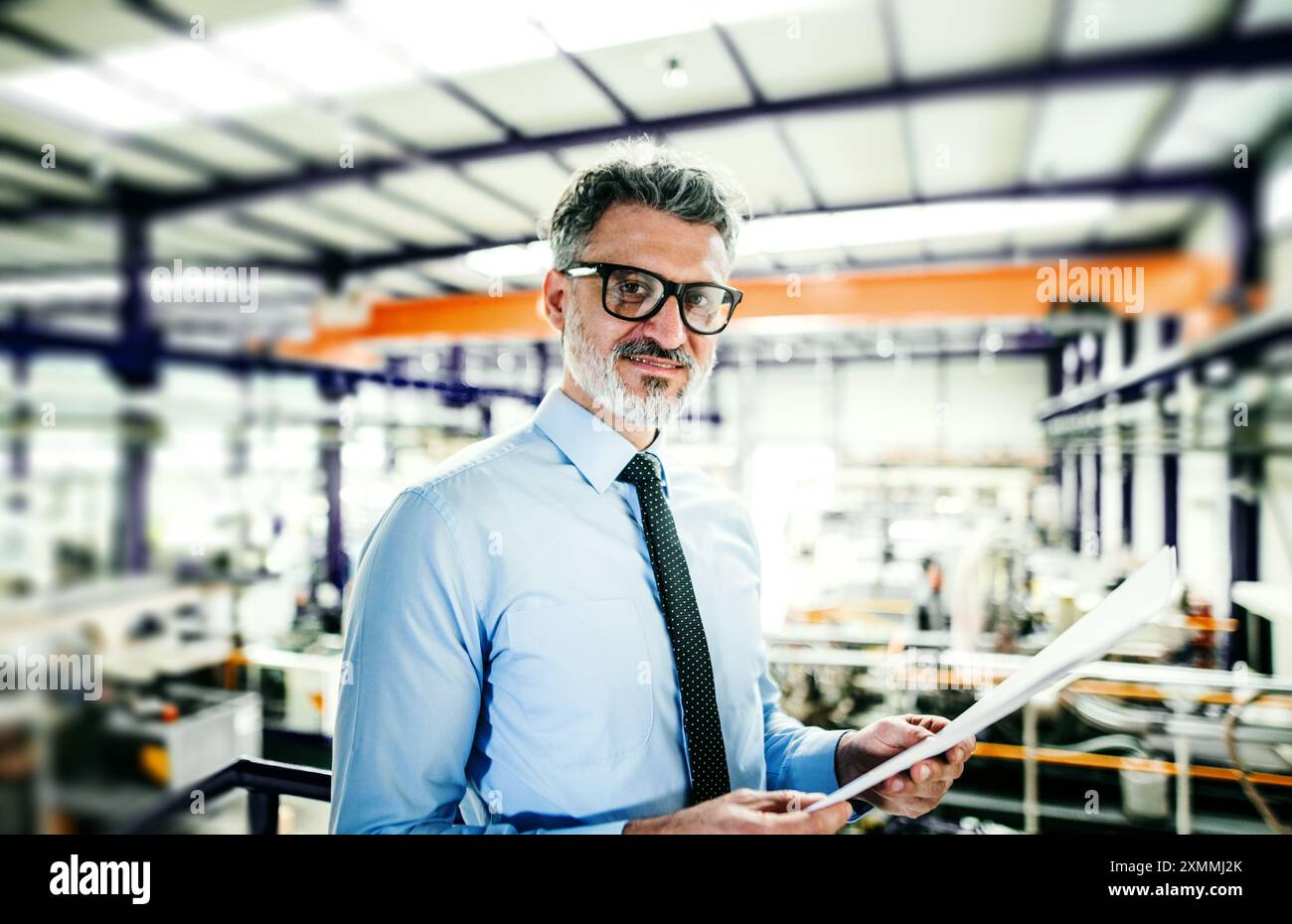 Portrait of project manager standing in modern industrial factory ...