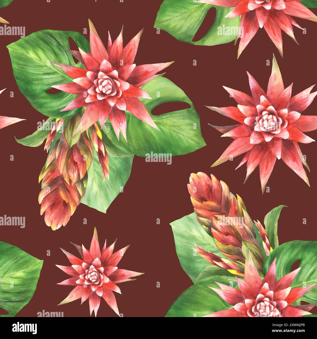 Tropical plant flowers seamless pattern Red bromeliad buds, exotic ...