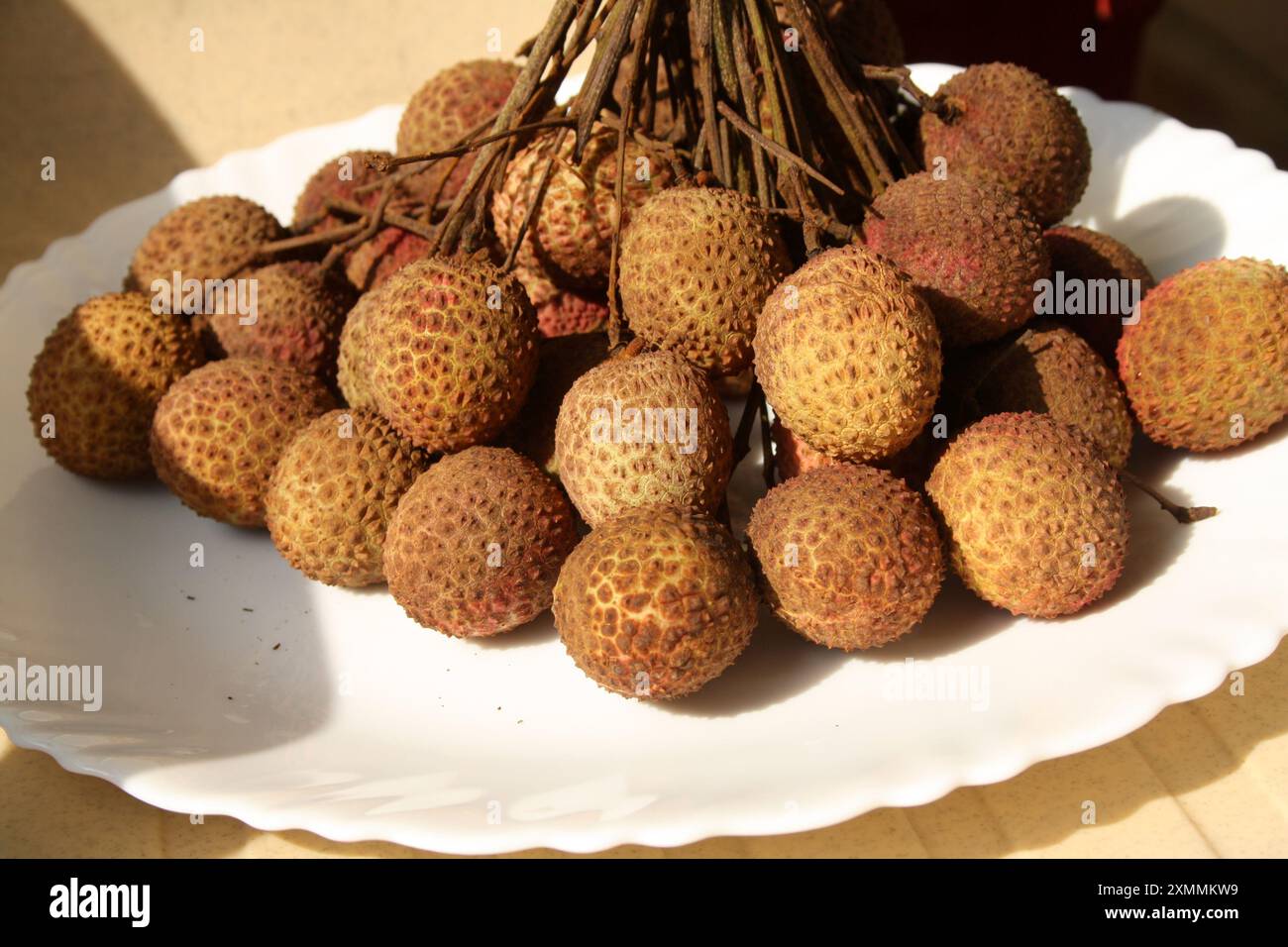 Philippine shell hi-res stock photography and images - Alamy