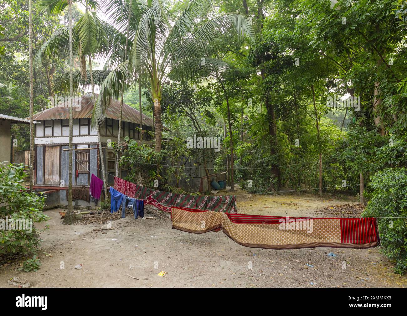Old heritage house in the forest, Dhaka Division, Tongibari, Bangladesh ...