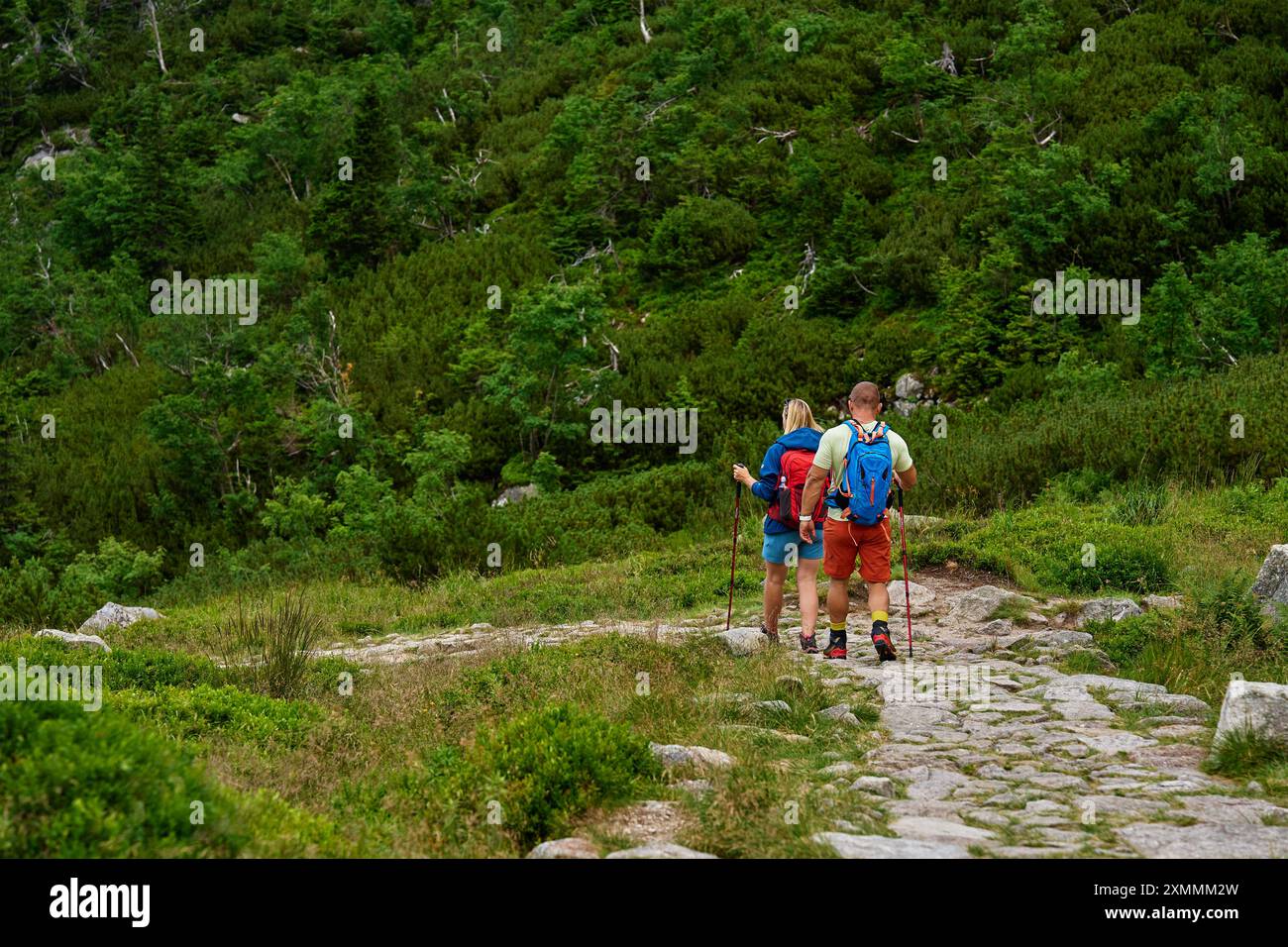 Back view of two hikers with backpacks and trekking poles descending ...