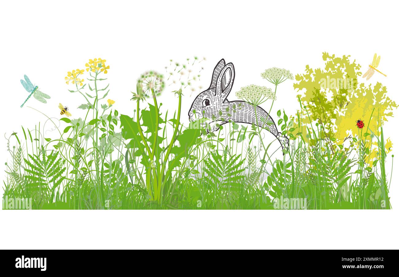 Rabbit hiding in the meadow illustration Stock Photo - Alamy