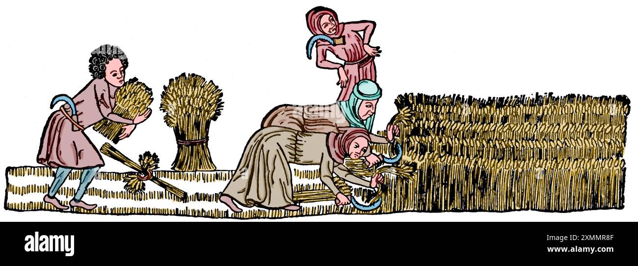 Medieval farming hi-res stock photography and images - Alamy