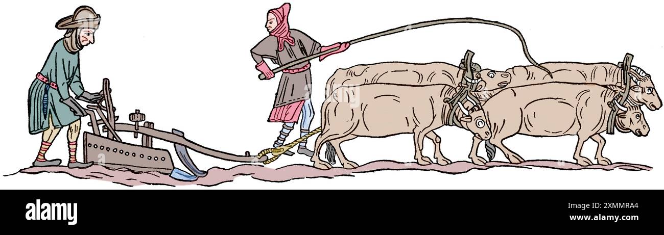 Medieval farming hi-res stock photography and images - Alamy