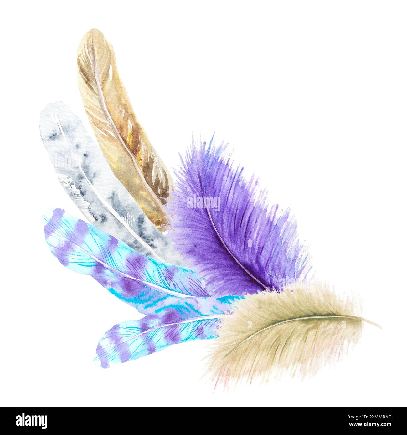 Colorful composition of multi-colored feathers, watercolor illustration ...